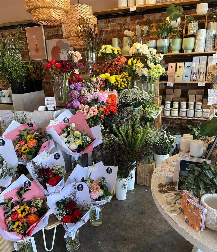 Hello petal flowers store